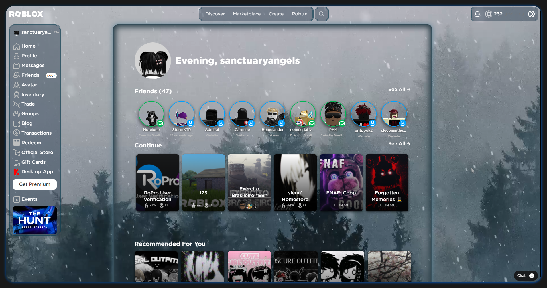 Top Themes - Roblokis